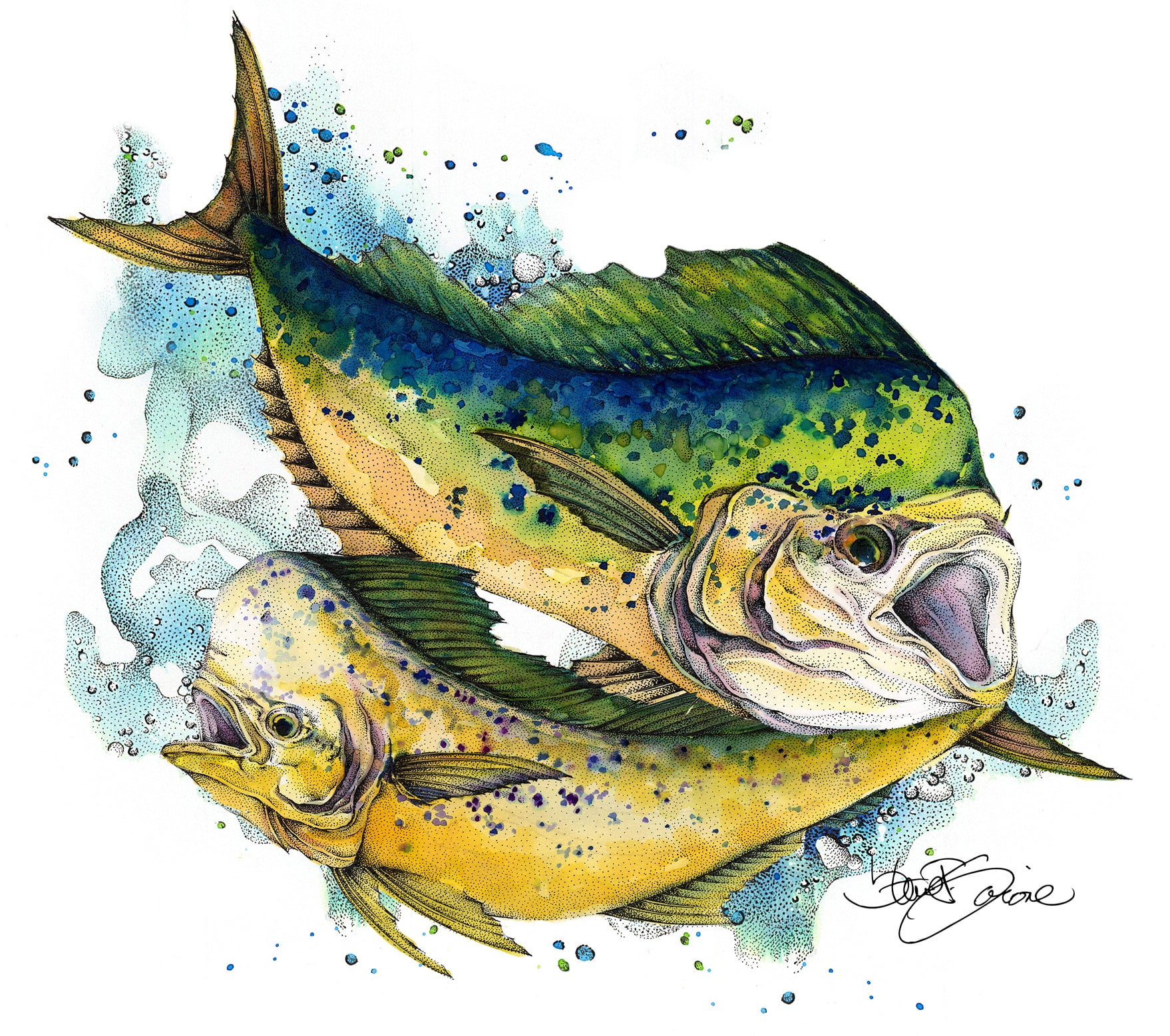 "Abaco Mahi" Mini Print | Steve Goione Marine Artist